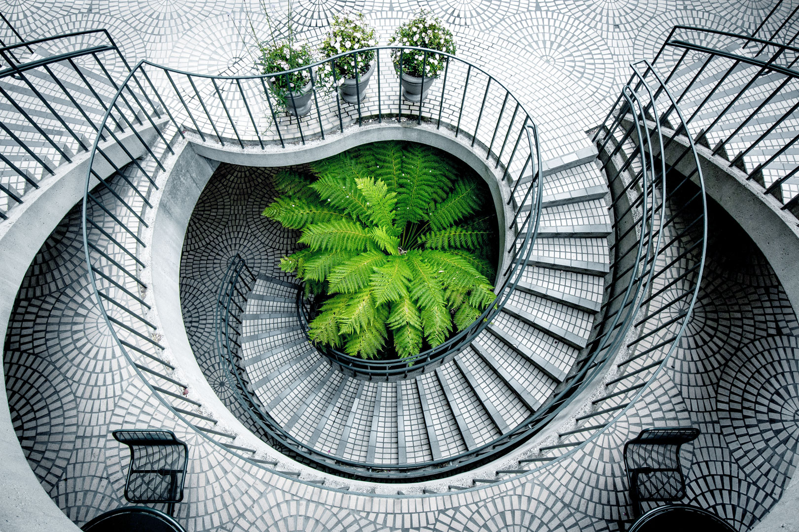 Purpose & Mission : GCCA